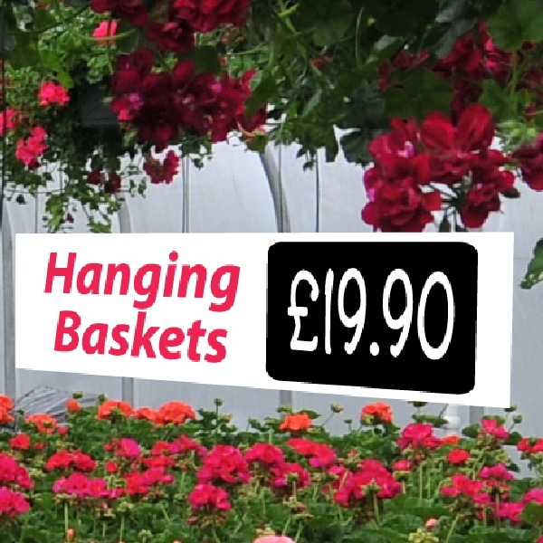 Double-Sided Signs > The SignBuilder