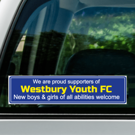 Back Window Stickers - Packs of 20