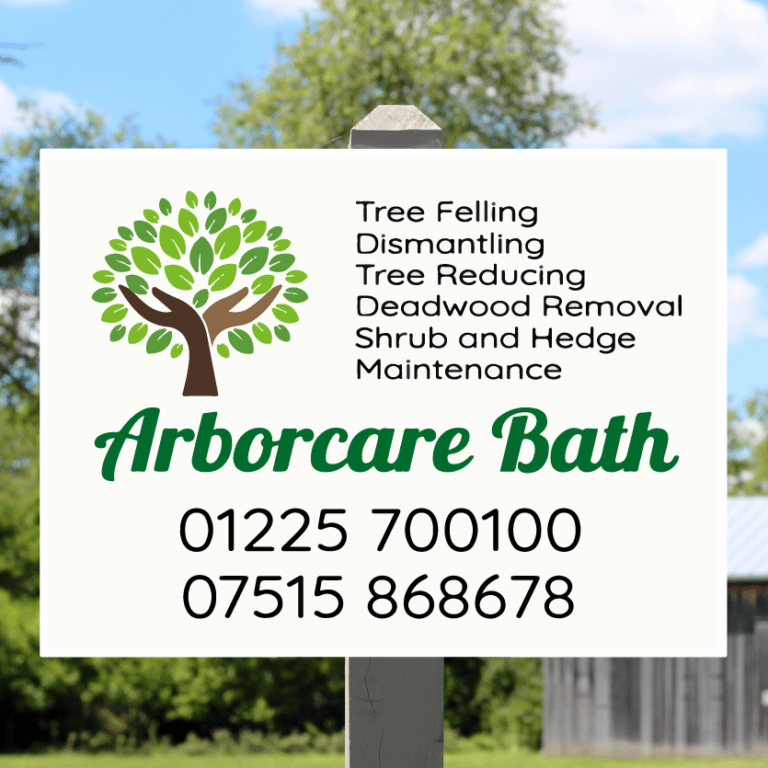 Printed Low-Cost Signs The SignBuilder > Low Cost Signs