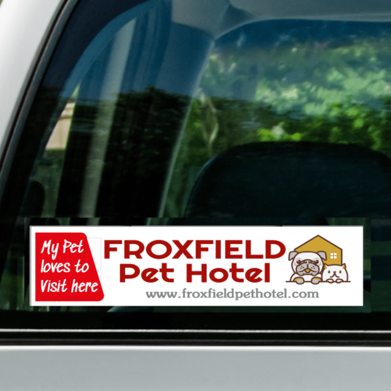 Back Window Stickers - Packs of 20